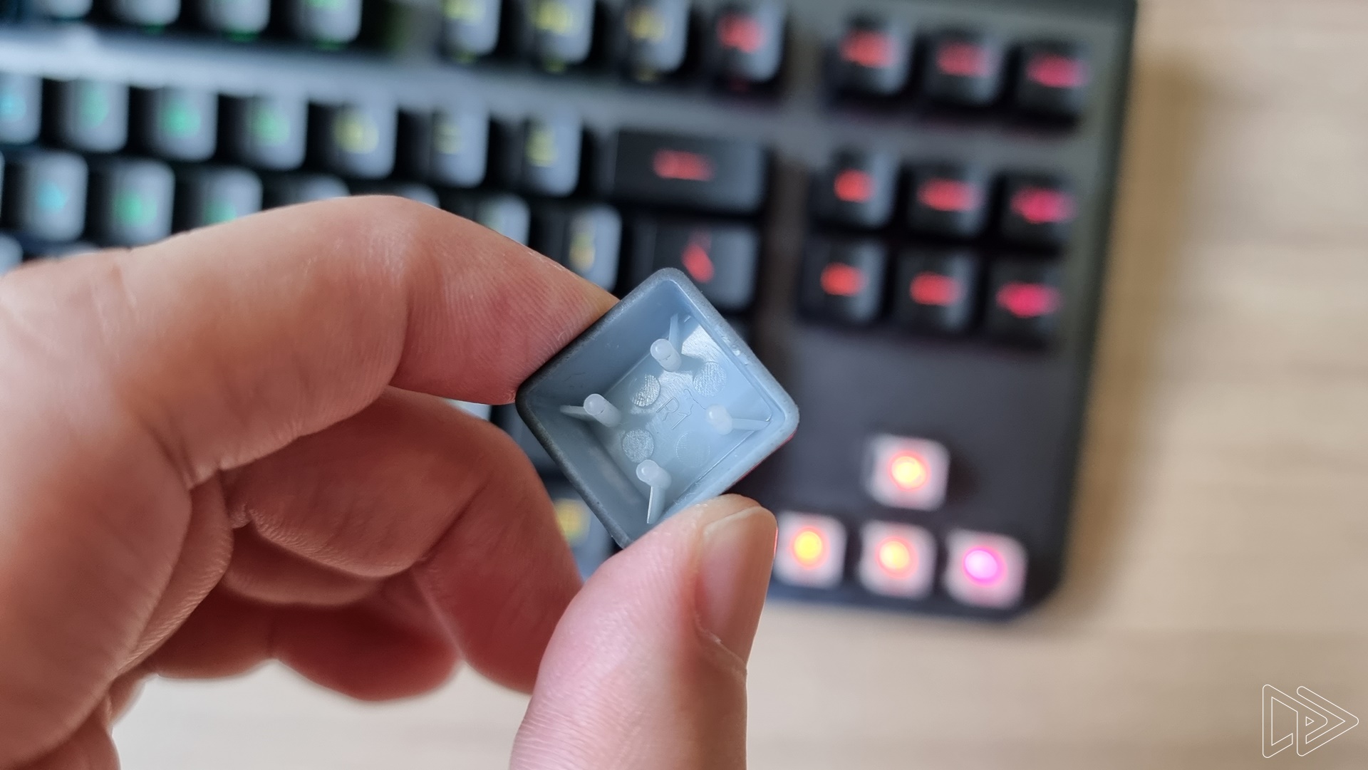 What Are Asus ROG RX Switches? – Nextrift