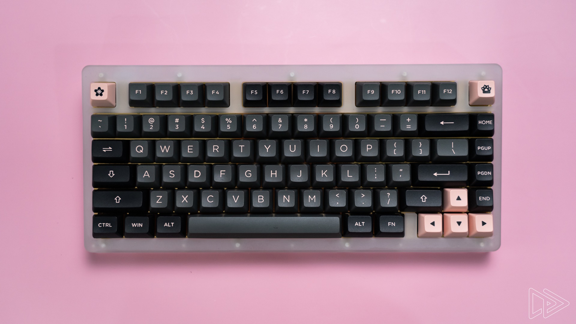Akko ACR TOP 75 + Chosfox Voyager Review: Sleek, Affordable Top-Mounted ...