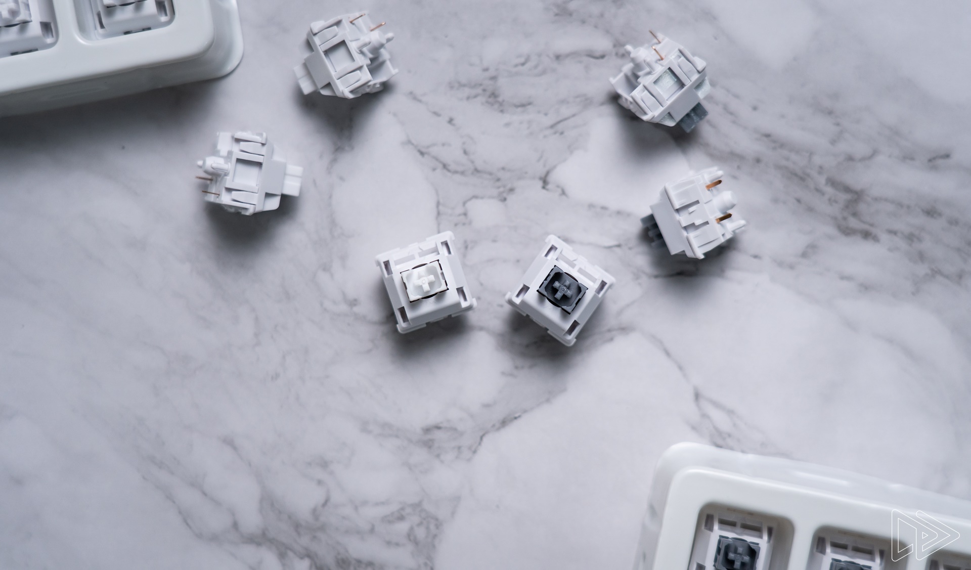 Wuque Studio WS Silent Linear & Silent Tactile Review: Whisper Quiet Without the Mush – Nextrift