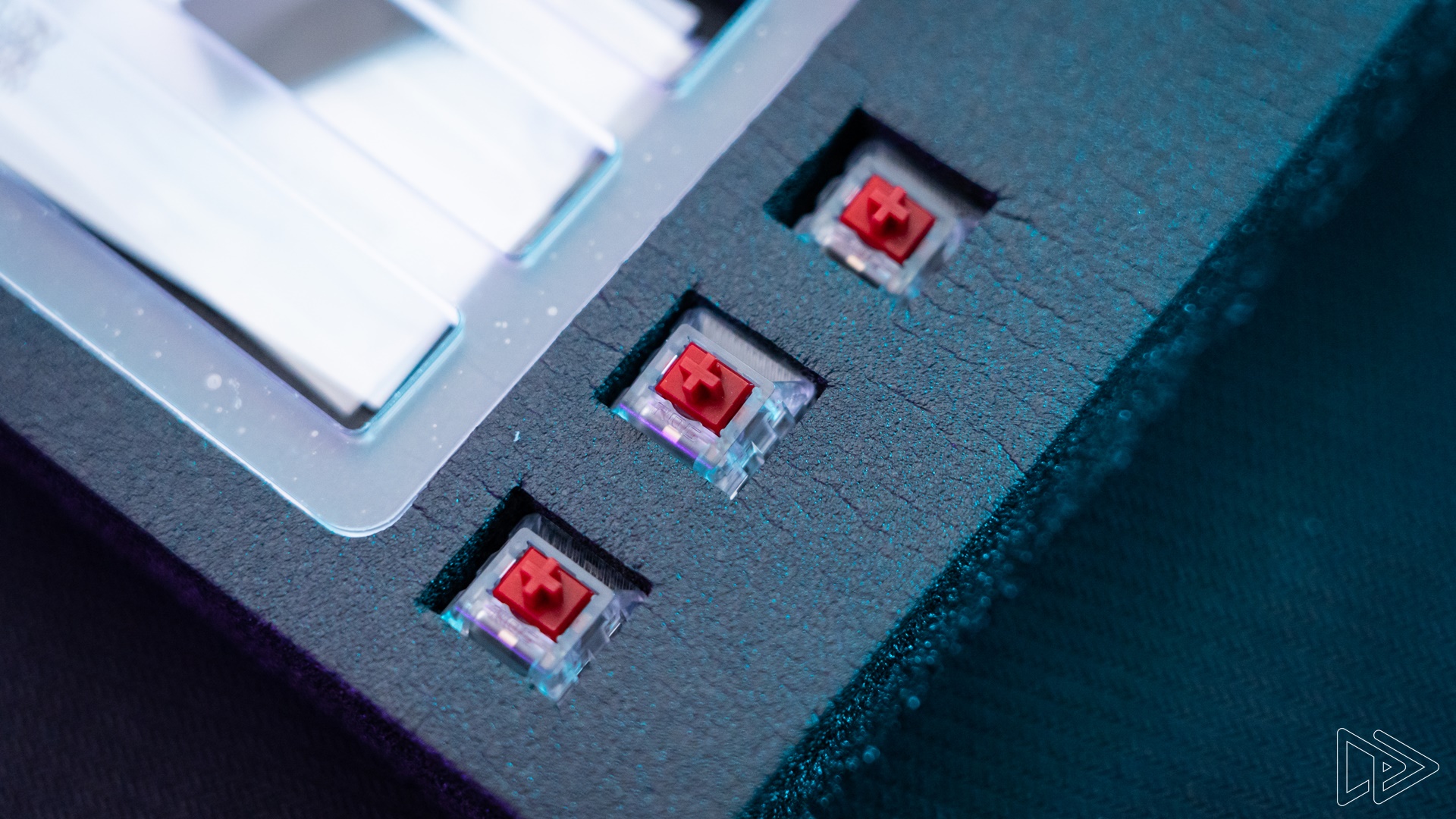 Asus ROG Azoth Review: Asus’ Most Custom Pre-Built Keyboard Yet – Nextrift