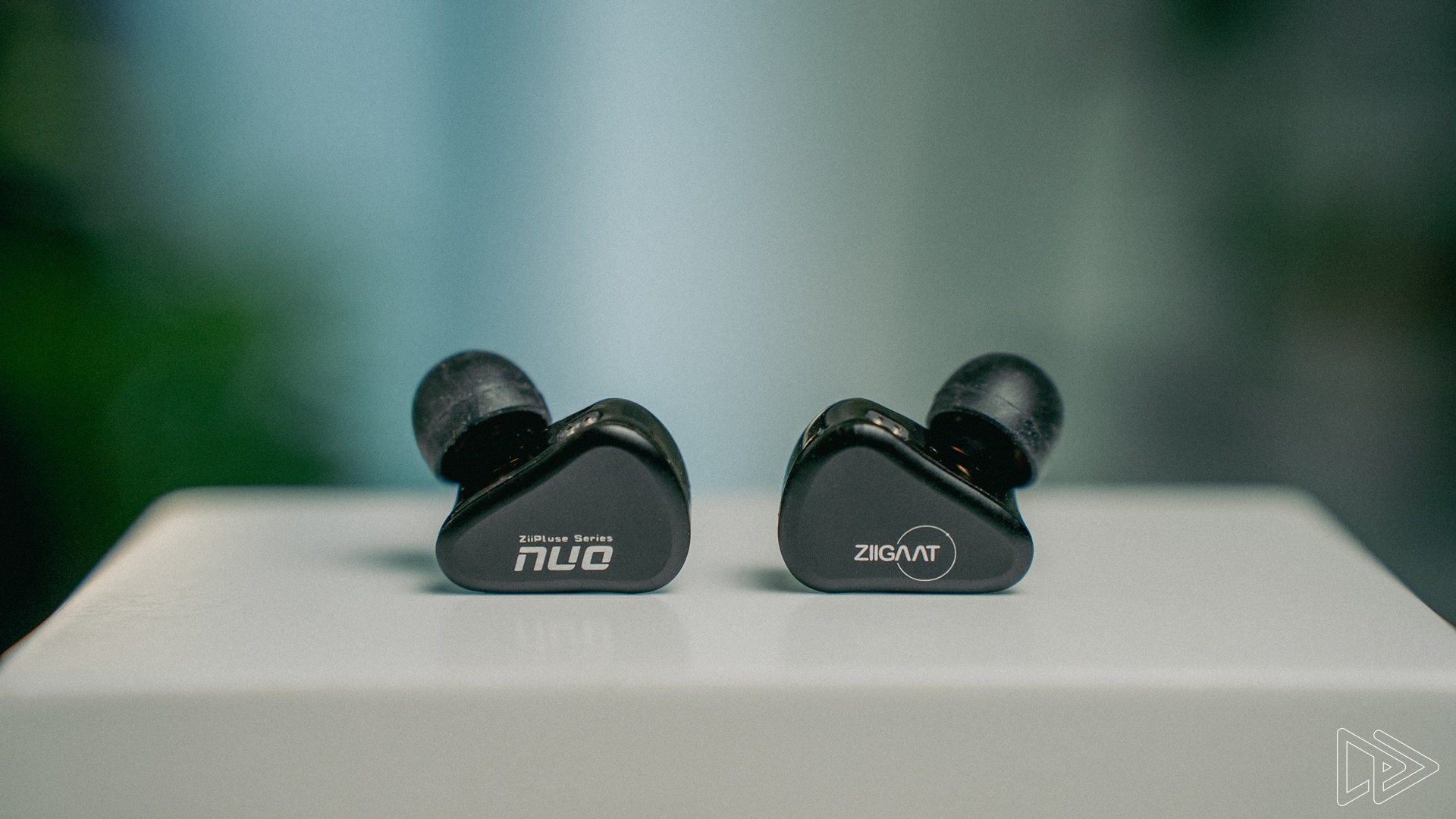 ZiiGaat Nuo Review: A Bright Future – Nextrift
